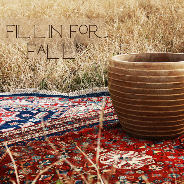 Ship it Fast! – Anamese Garden & Home