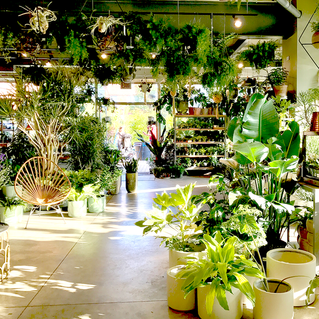 Sprout Home Chicago – Anamese Garden & Home