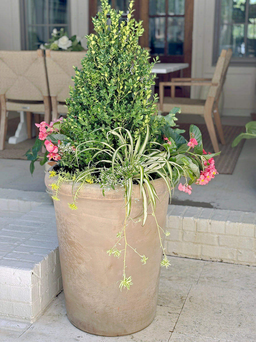 Mirabella Planter – Anamese Garden & Home