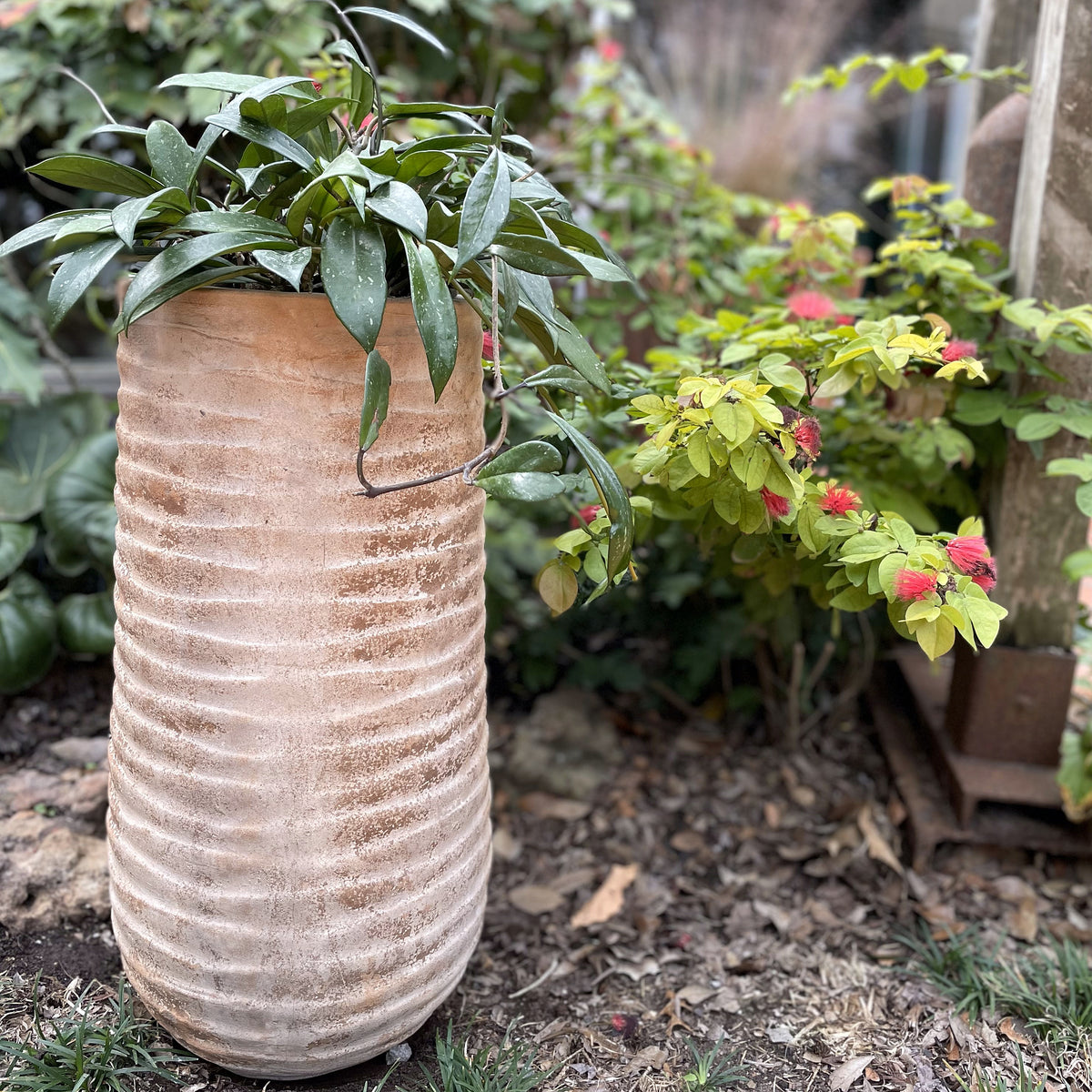 Antique Ring Urn – Anamese Garden & Home