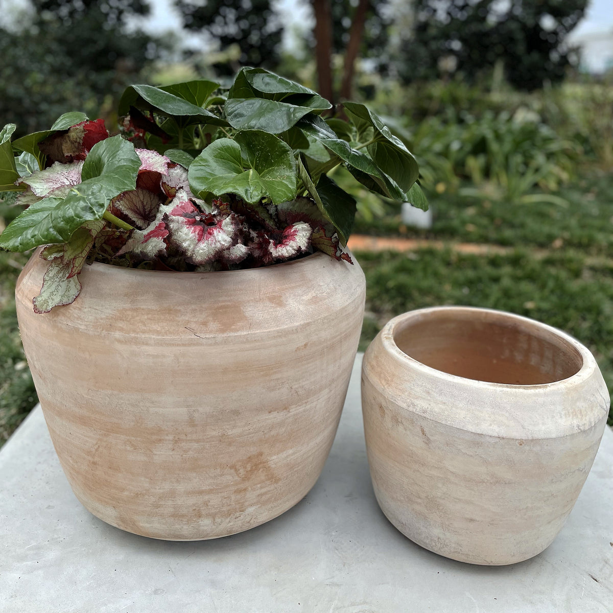 Cape Planter – Anamese Garden & Home