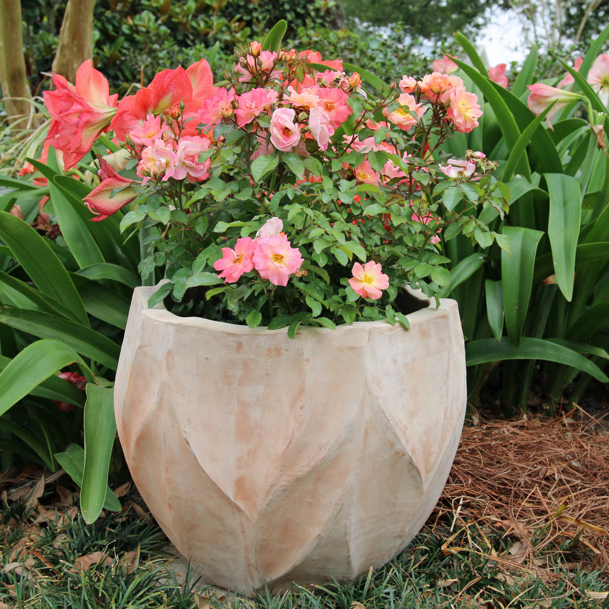Lis' Planter – Anamese Garden & Home