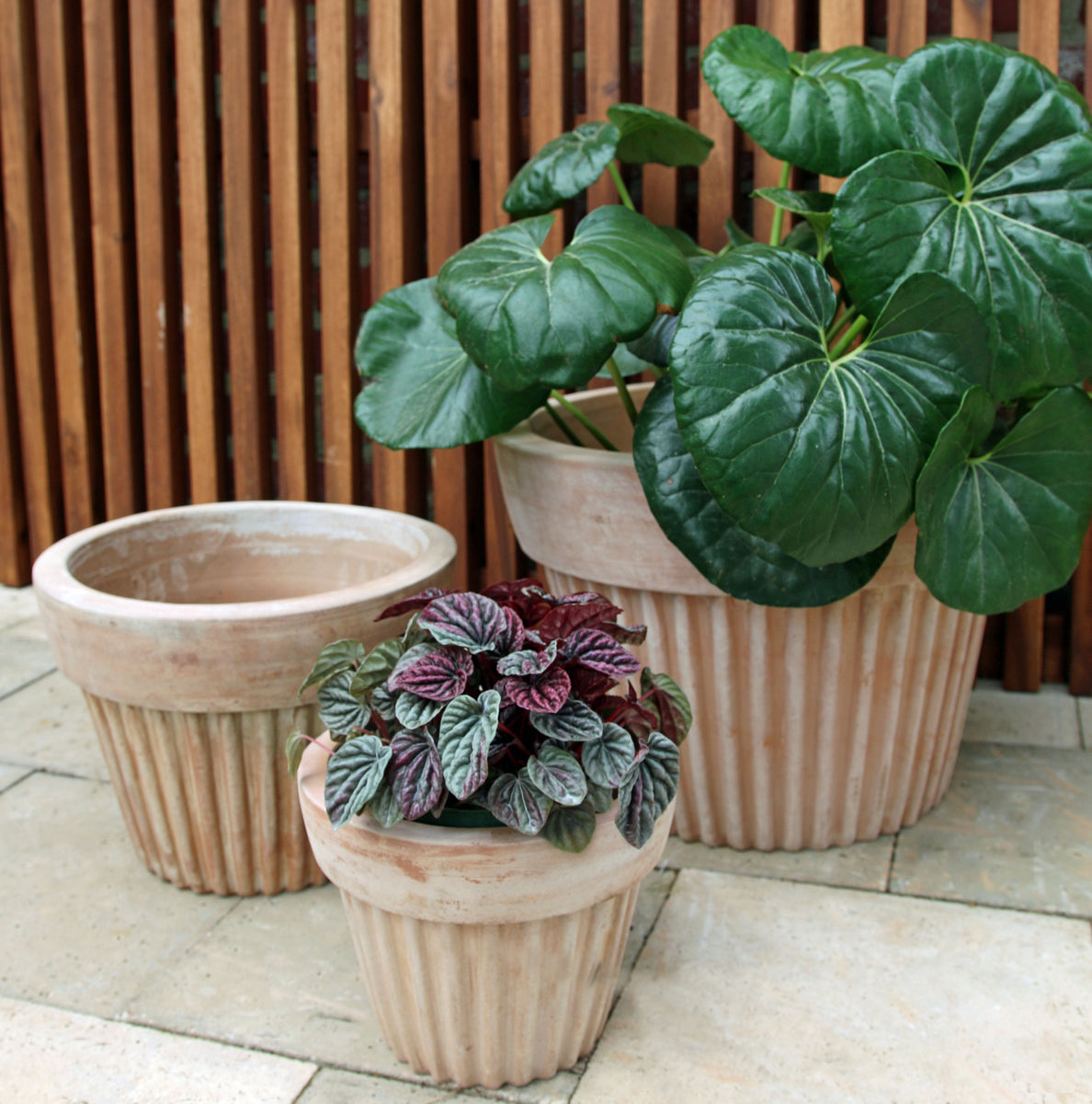 Plisee Planter Short – Anamese Garden & Home