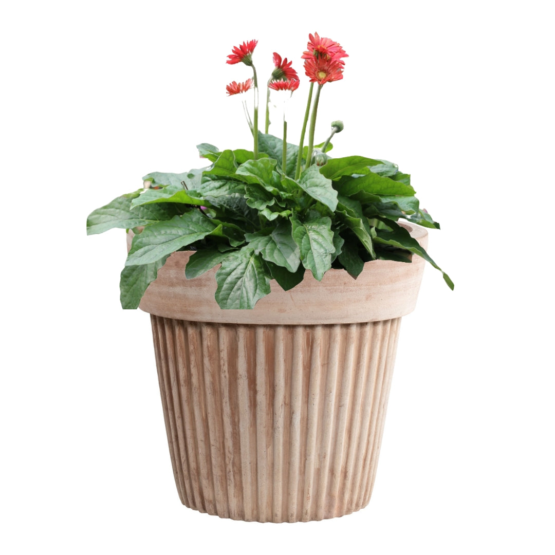 Plisee Planter Tall – Anamese Garden & Home