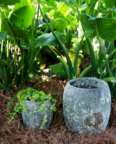 Shop Decorative Table Top & Small Pots | Anamese Garden & Home