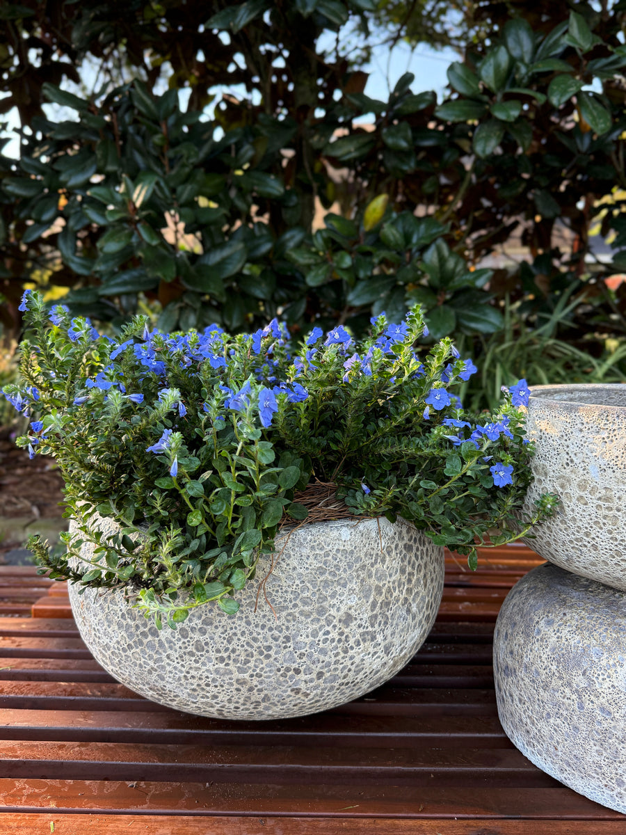 Yumiko Bowl • Old World – Anamese Garden & Home