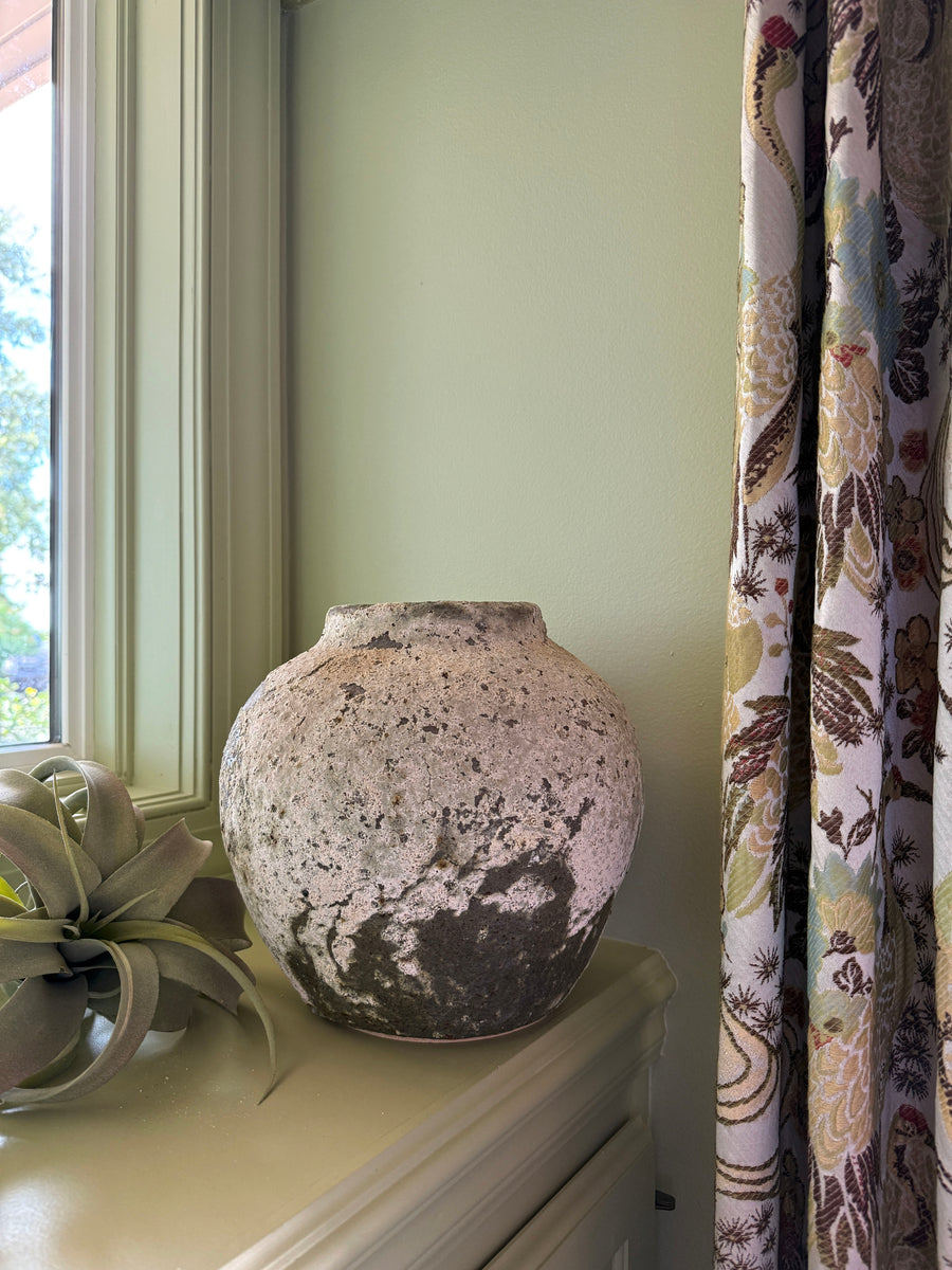Anchovy Pot – Anamese Garden & Home