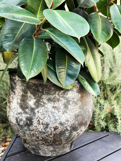 Table Top- Small Pots – Anamese Garden & Home