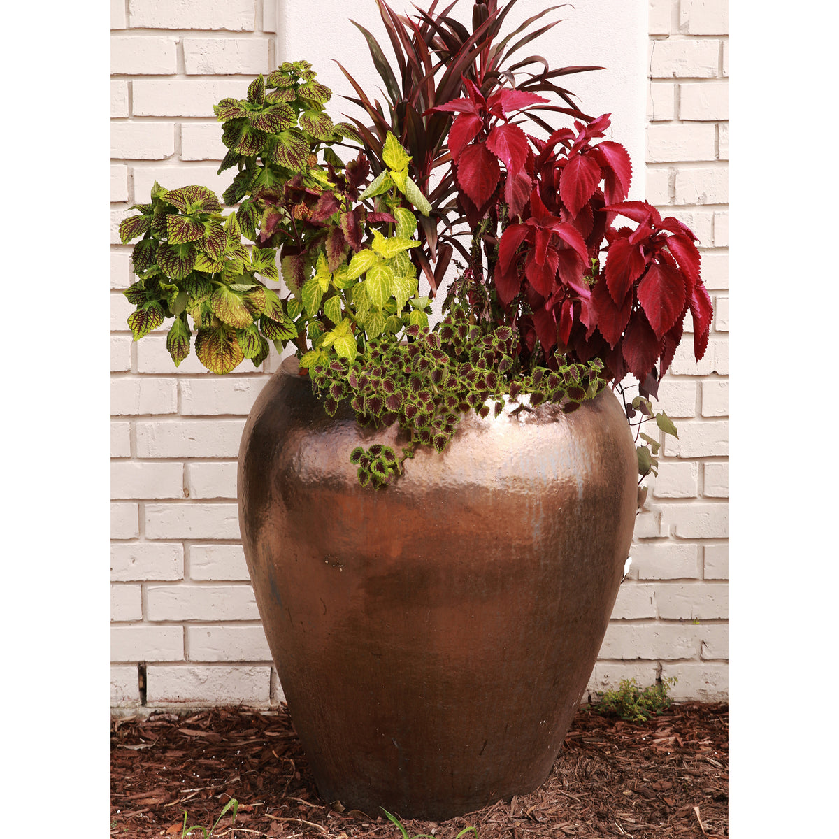 Paloma Jar – Anamese Garden & Home