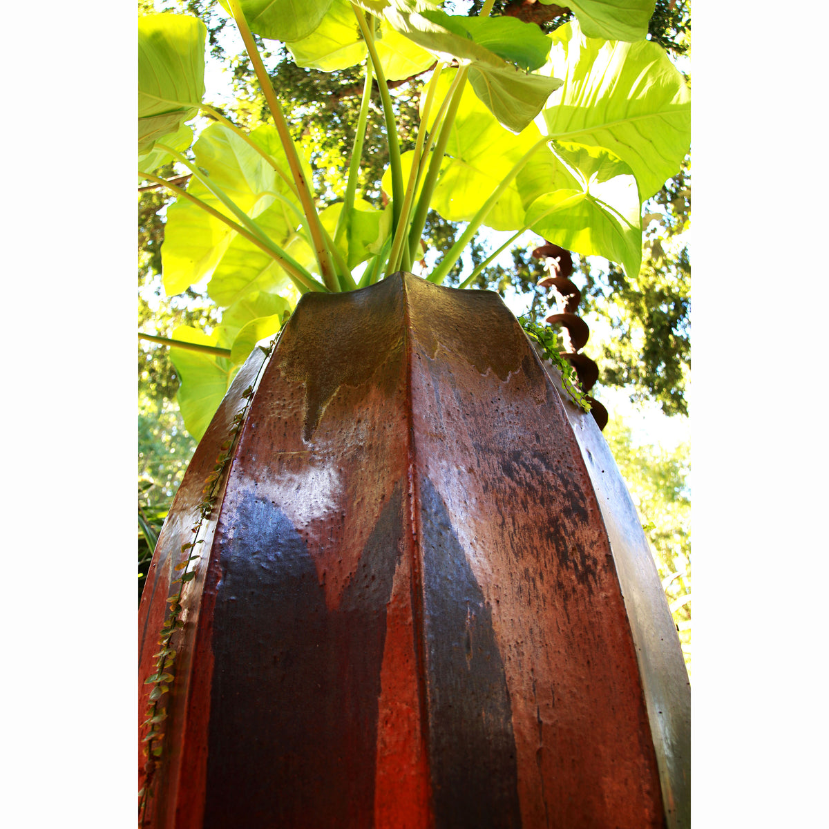 Tall Starfruit Jar – Anamese Garden & Home