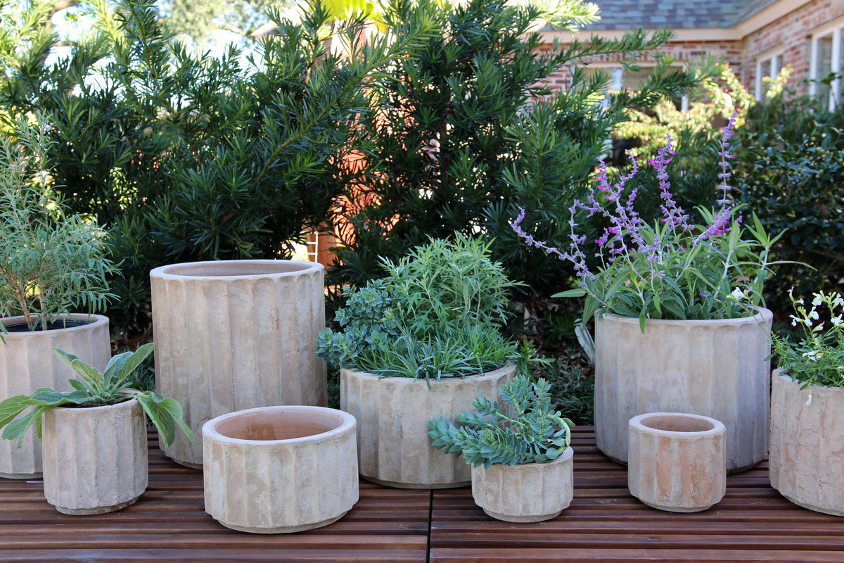 Pilar' Bowl – Anamese Garden & Home