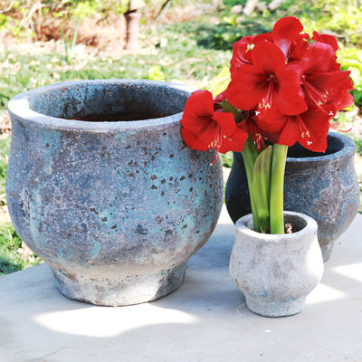 Old World – Anamese Garden & Home